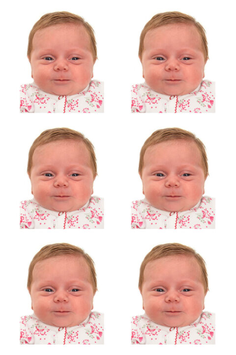 Pasfoto | PIXEL Creative Studio